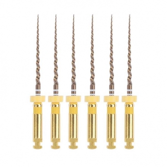 Protaper Finishing Files – Sterile 31mm - Next Dental